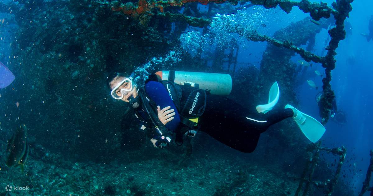 Full-Day Dive Trip [3 Dives] in Koh Chang with PADI 5 Star IDC | Dive ...